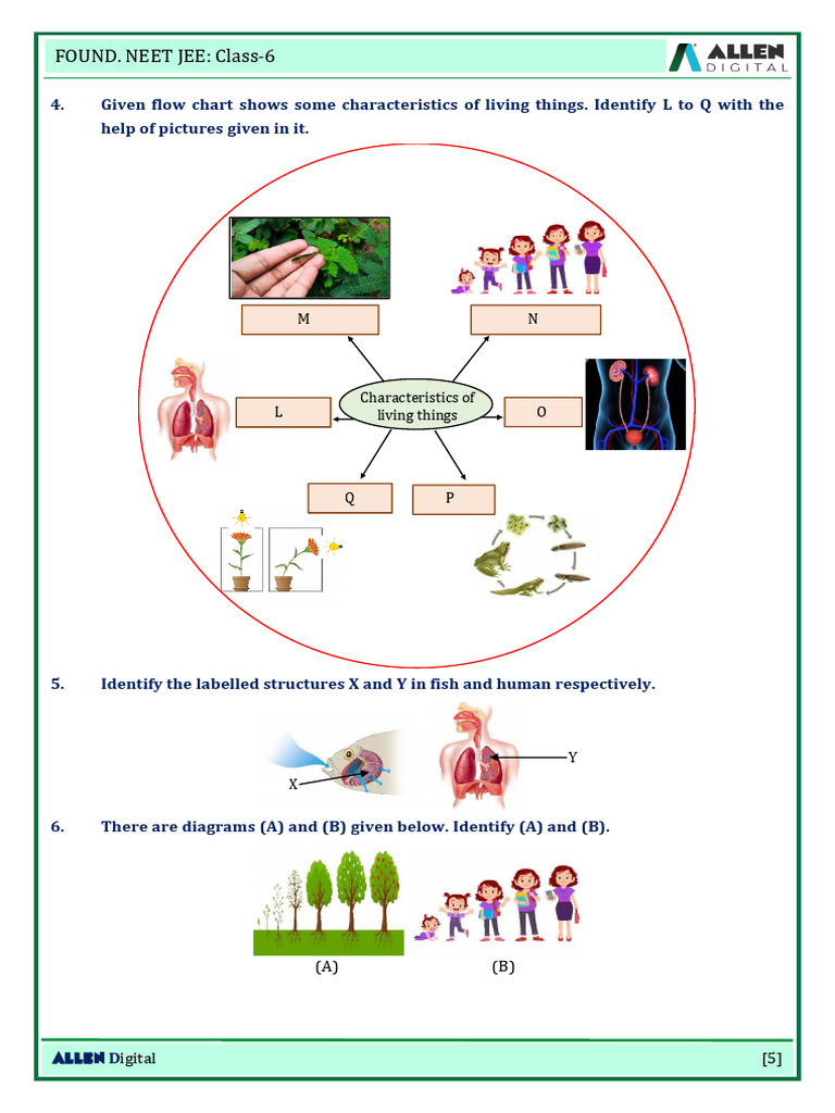 Living World Characteristics Flow Chart | PDF