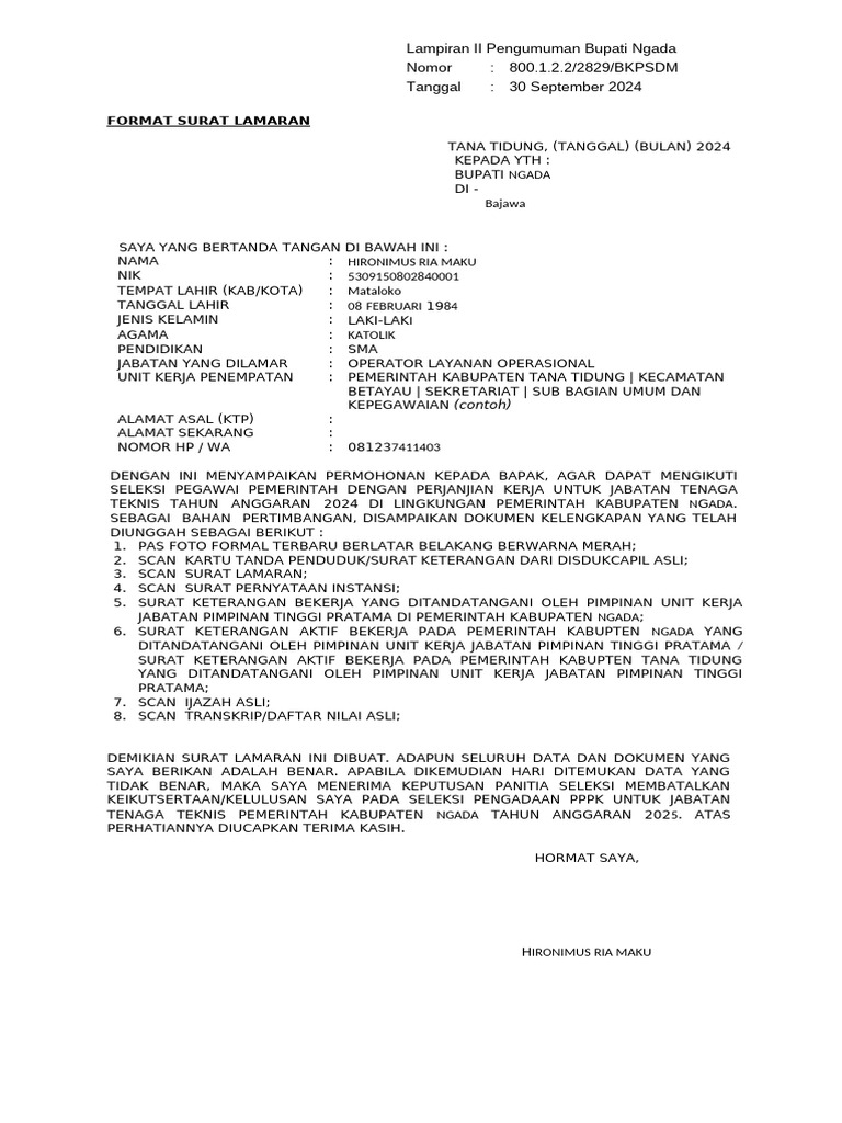 9515 - Format Lamaran Dan Surat Pernyataan PPPK TEKNIS 2024 | PDF