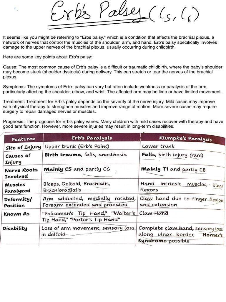 Understanding Erb's Palsy: Causes & Treatment | PDF