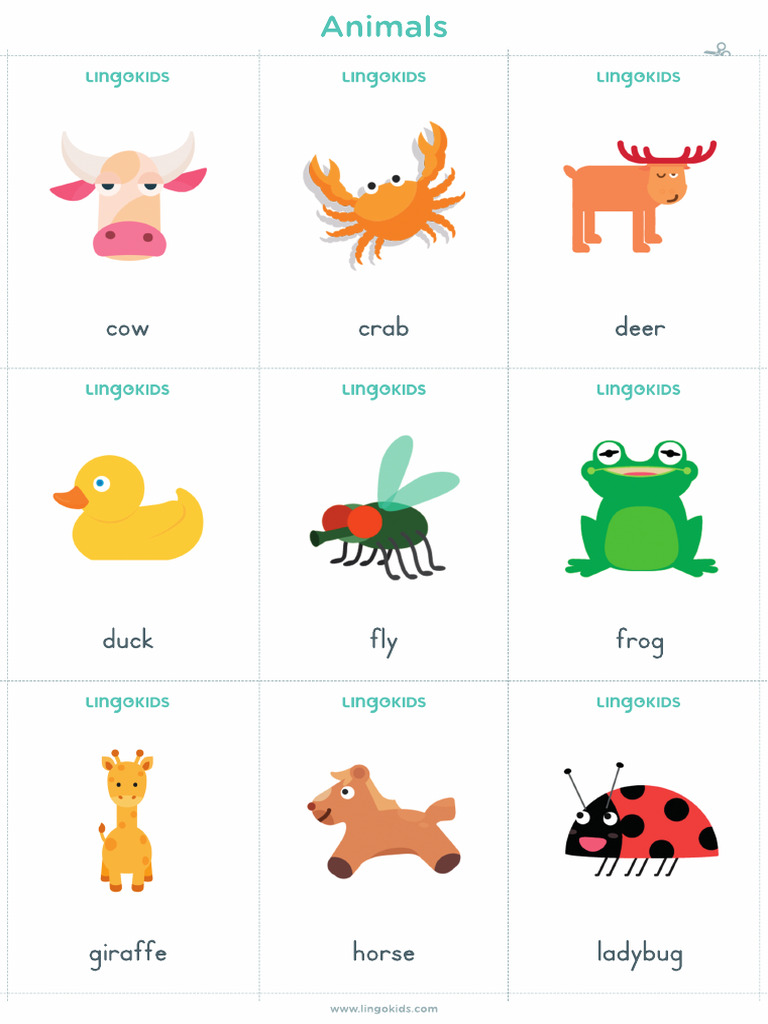 Animals Name 2 | PDF