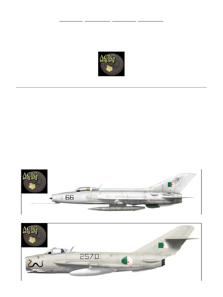 Arab Air Forces in 1967 Conflict | PDF | Aviation | Aircraft