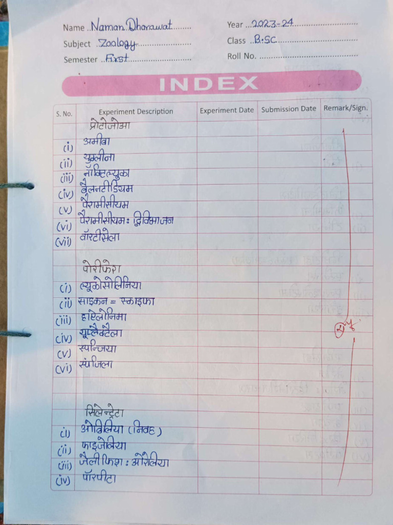 Zoology Prectical File Part-1 | PDF