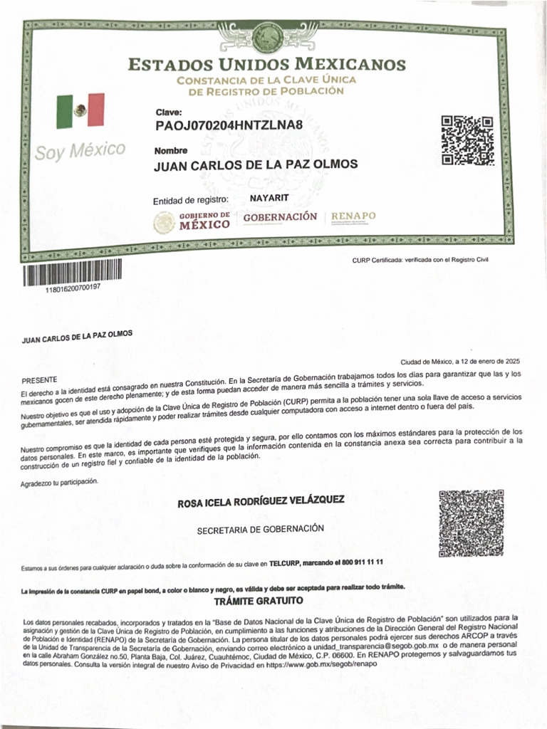 CURP | PDF