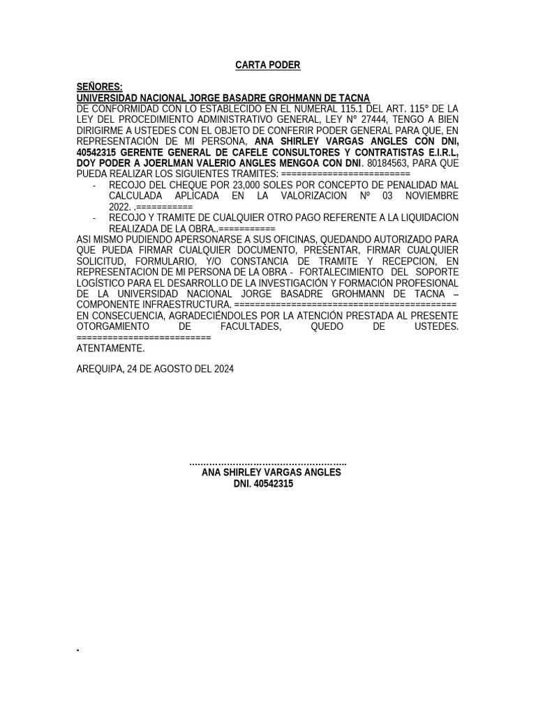 Carta Poder Ana A Joerlman | PDF