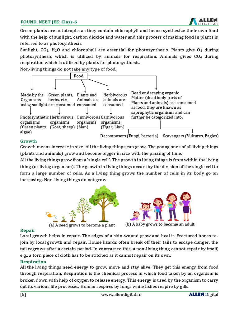 Ch1_The Living World_S 6 | PDF | Plants | Foods