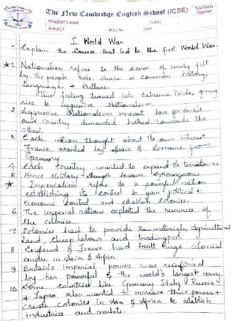 ICSE Student Assessment Document | PDF