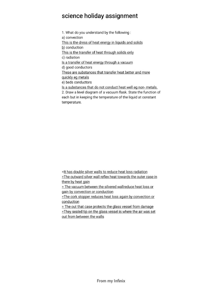 Science Holiday Ay Assignment | PDF