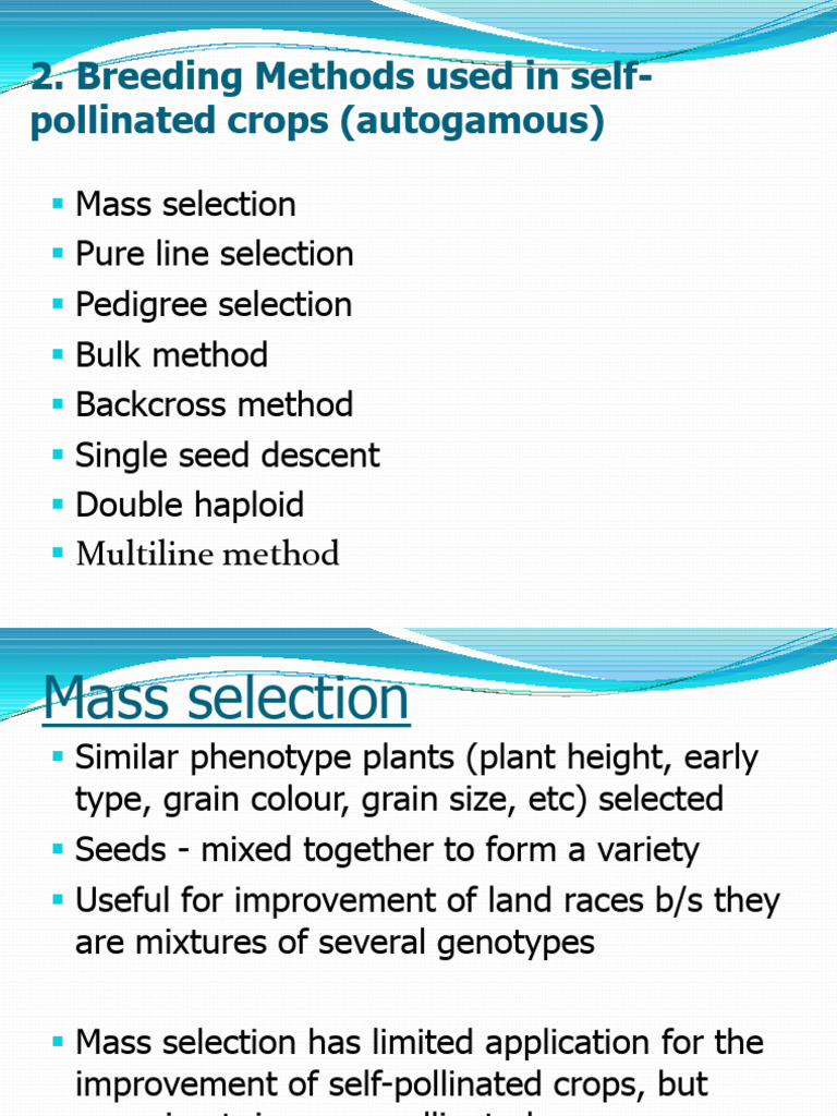 Breeding Methods for Self-Pollinated Crops | PDF | Plant Breeding ...