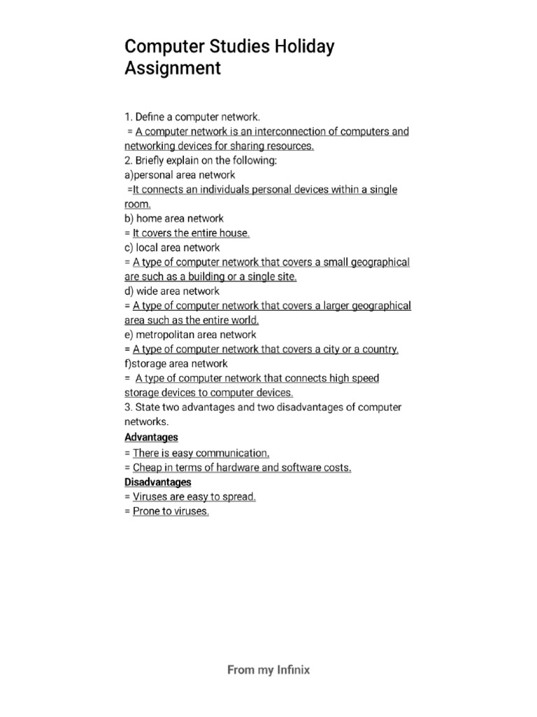 Computer Studies Holiday Assignment | PDF