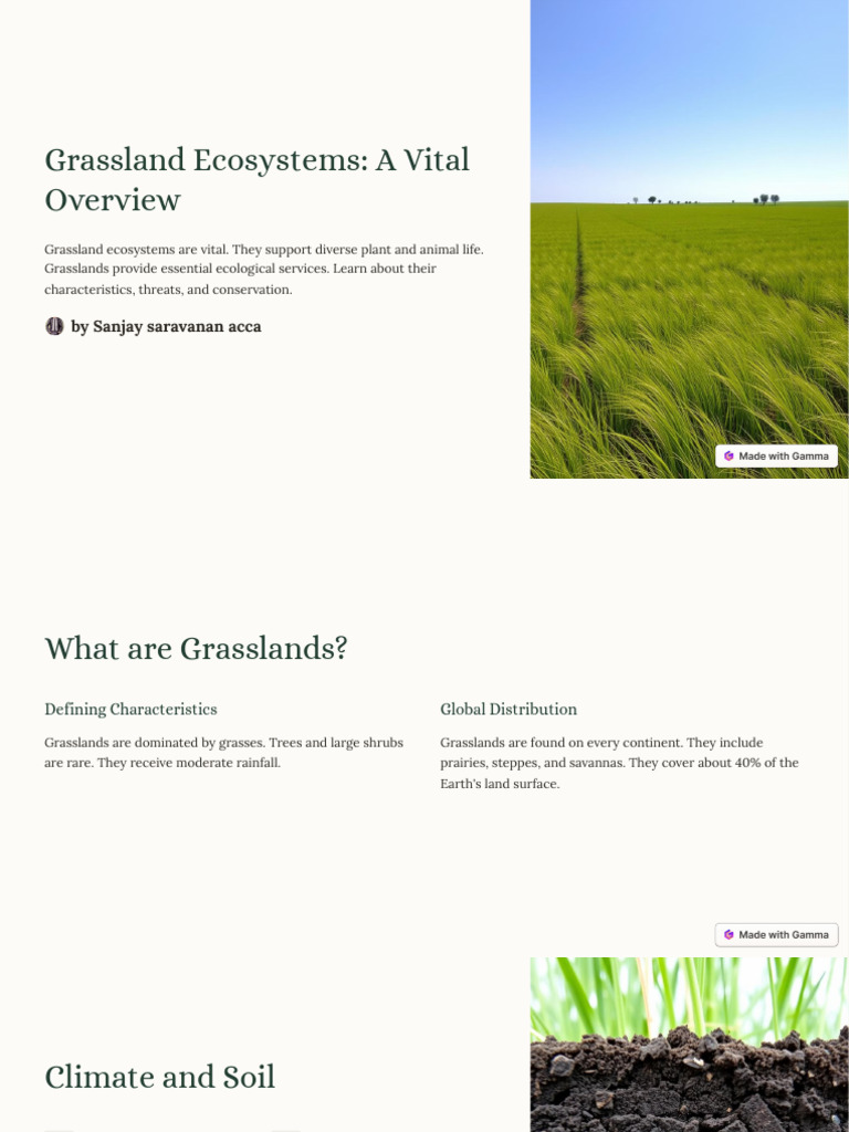 Grassland-Ecosystems-A-Vital-Overview | PDF | Grassland | Ecosystem