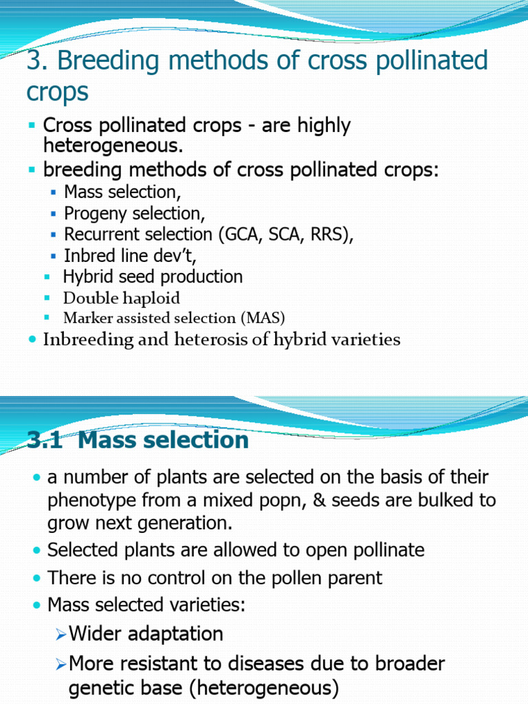 Lecture 3 Breeding Cross-Pollinated | PDF | Plant Breeding | Inbreeding