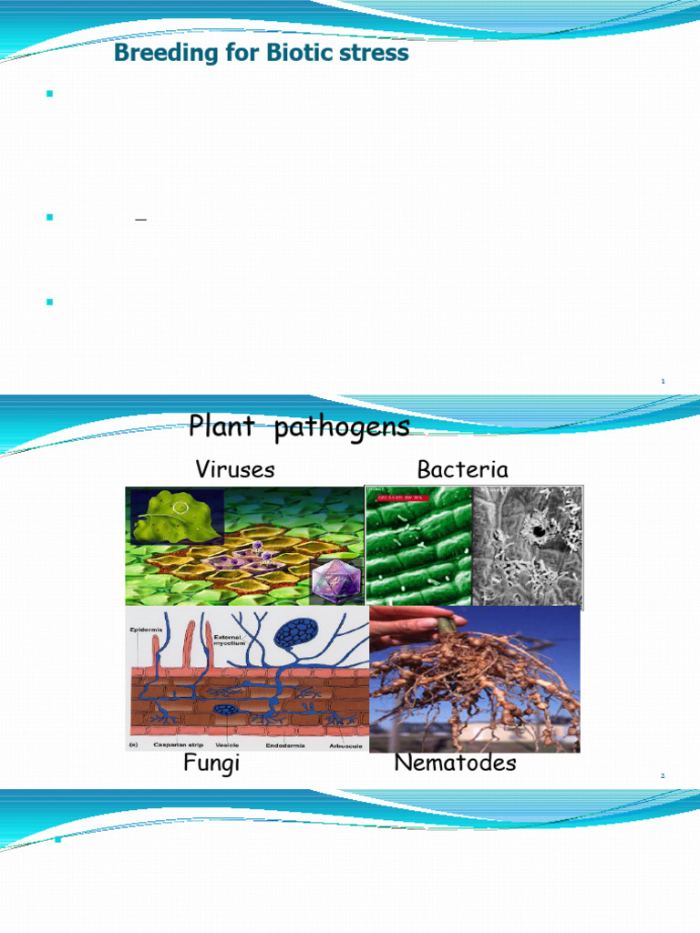 Breeding Strategies for Biotic Stress Resistance | PDF | Plant Breeding ...