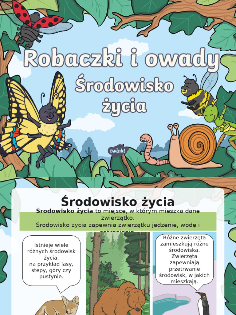Owady I Robaczki - Środowisko Życia | PDF