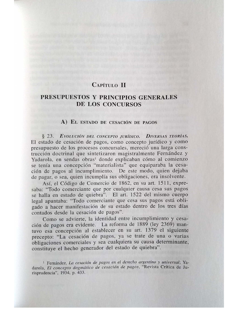 Presupestos y Principios Generales Junyent Bas, Escuti | PDF