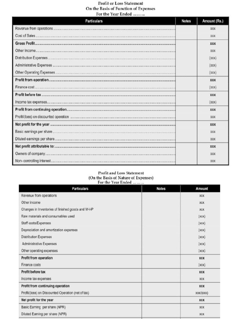 Basic Financial Statements | PDF