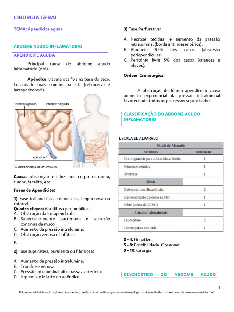 Apendicite Aguda - MedQ | PDF | Remédio | Doenças e distúrbios humanos