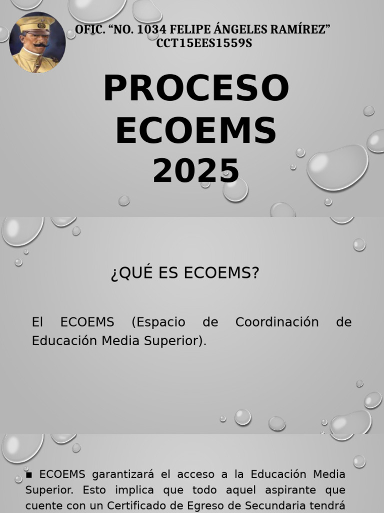 Ecoems 2025 | PDF