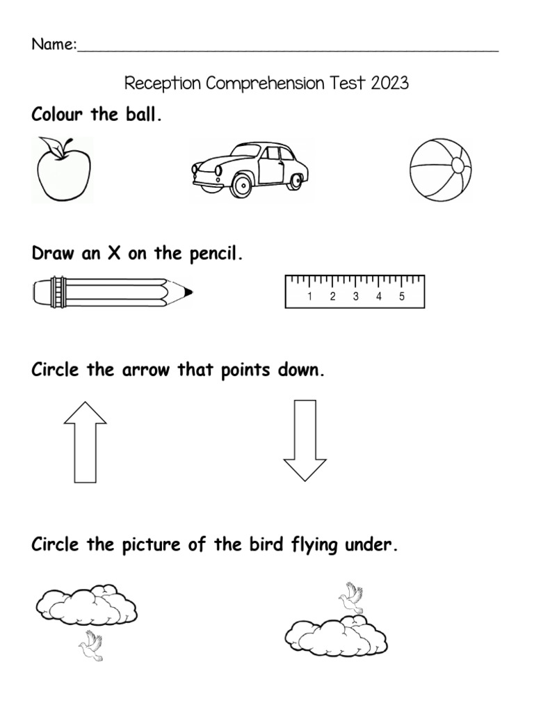 Comprehension Test | PDF