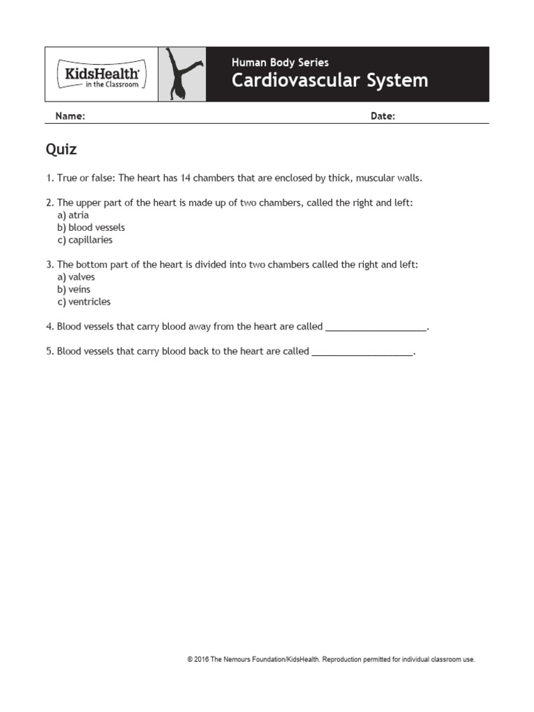 Cardiovascular Quiz | PDF