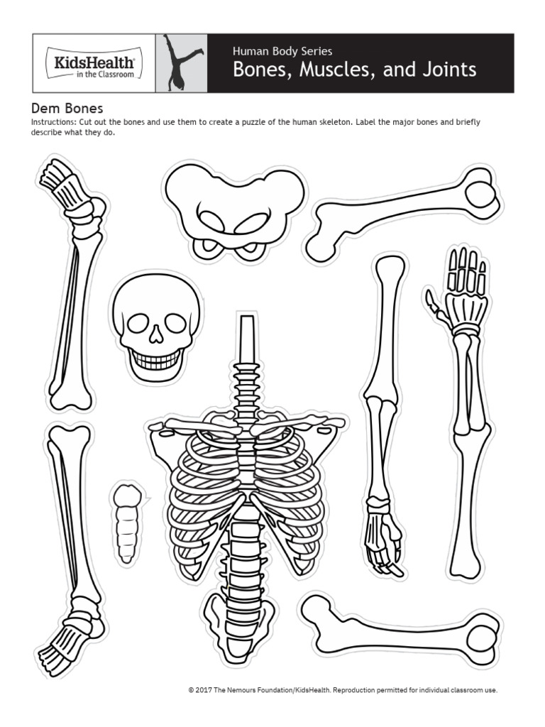 Bones Muscles Joints Health PDF | PDF