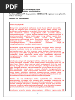 Iziyobisi Umbulalazwe | PDF