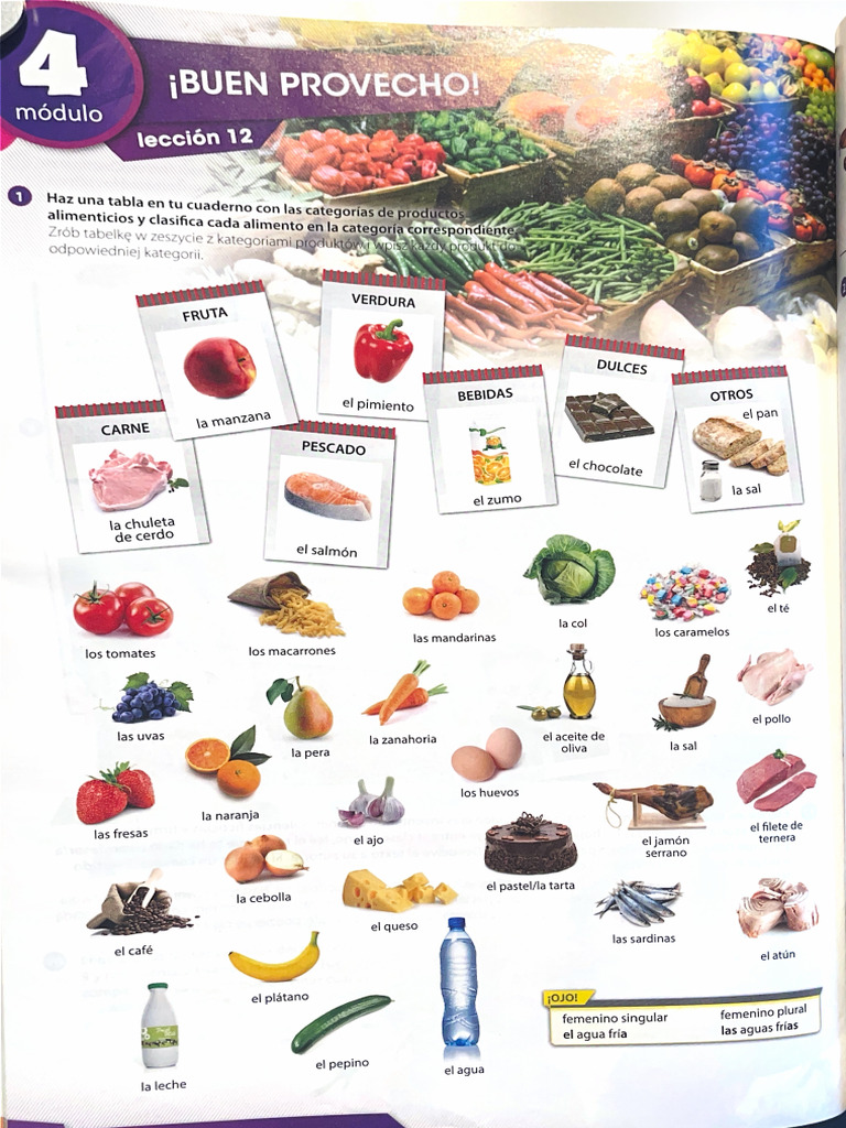 Comida en Español | PDF