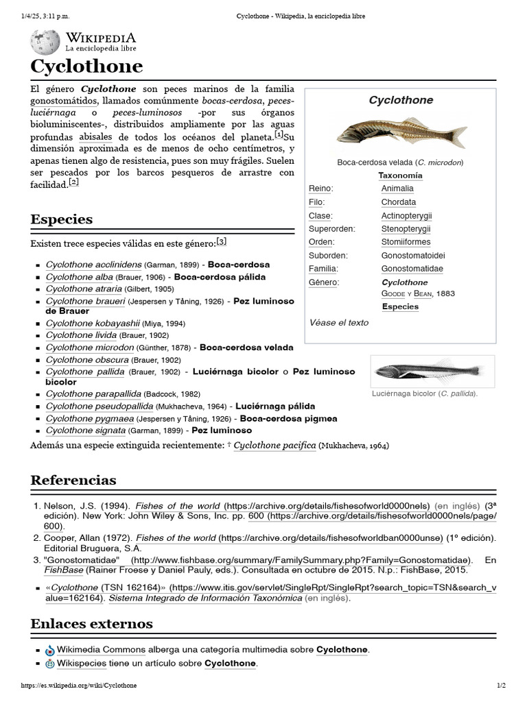 Cyclothone - Wikipedia, La Enciclopedia Libre | PDF | Pescado | Biología