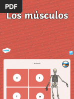 Tema 3 Santillana Naturales 5 Primaria PDF | PDF | Sistema ...