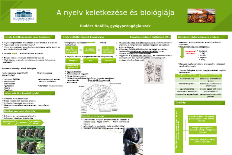 Tudományos Poszter | PDF