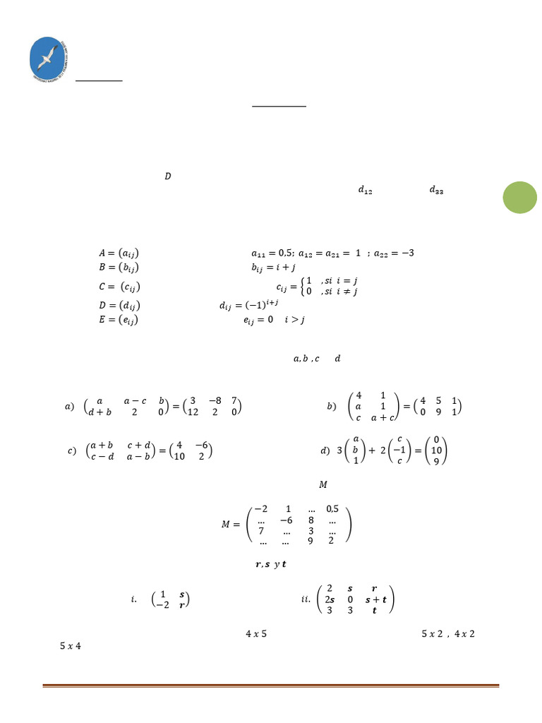 TP Matrices 2025 | PDF | Matriz (Matemáticas) | Determinante