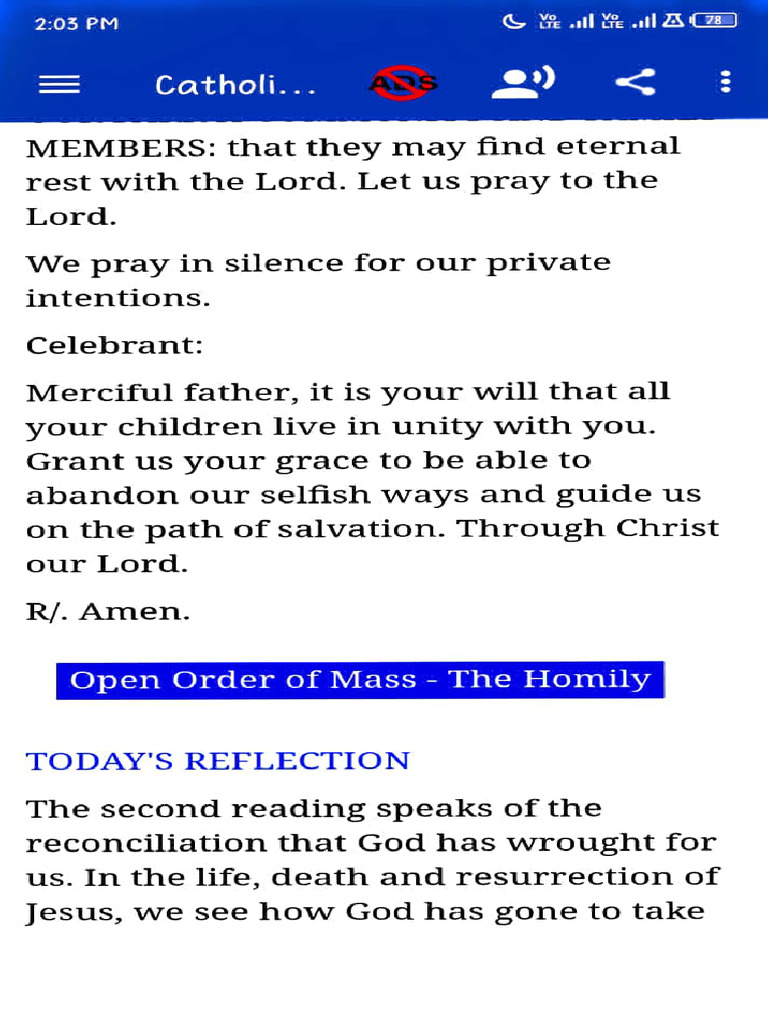 Reflection Homily | PDF