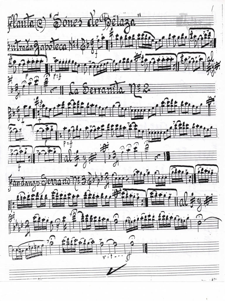 Sones y Jarabes de Betaza | PDF