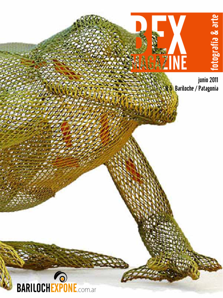 Bex 5 | PDF | Sombra