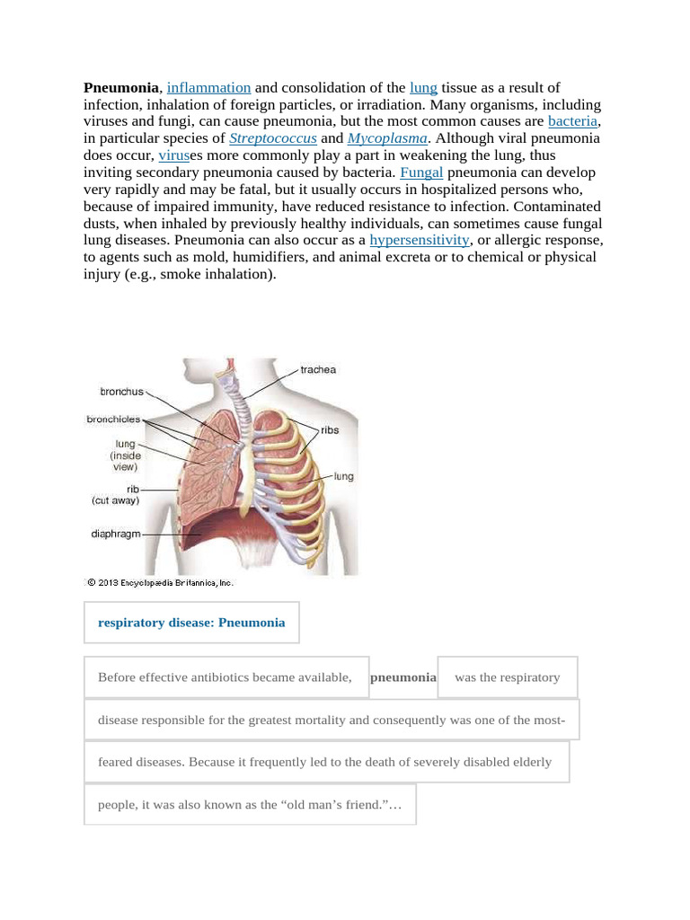 Pneumonia.mmb Lecture Note 1 | PDF | Pneumonia | Respiratory Diseases