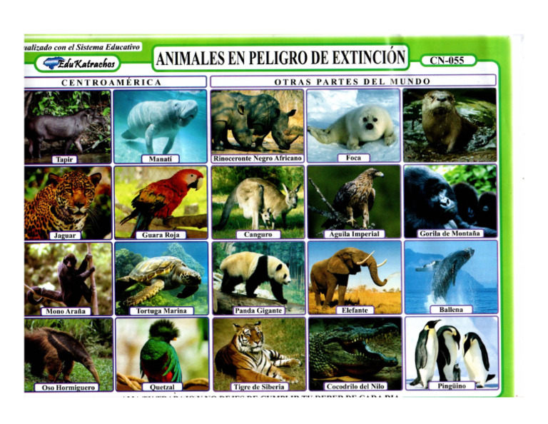 Animales en Peligros de Extincion | PDF