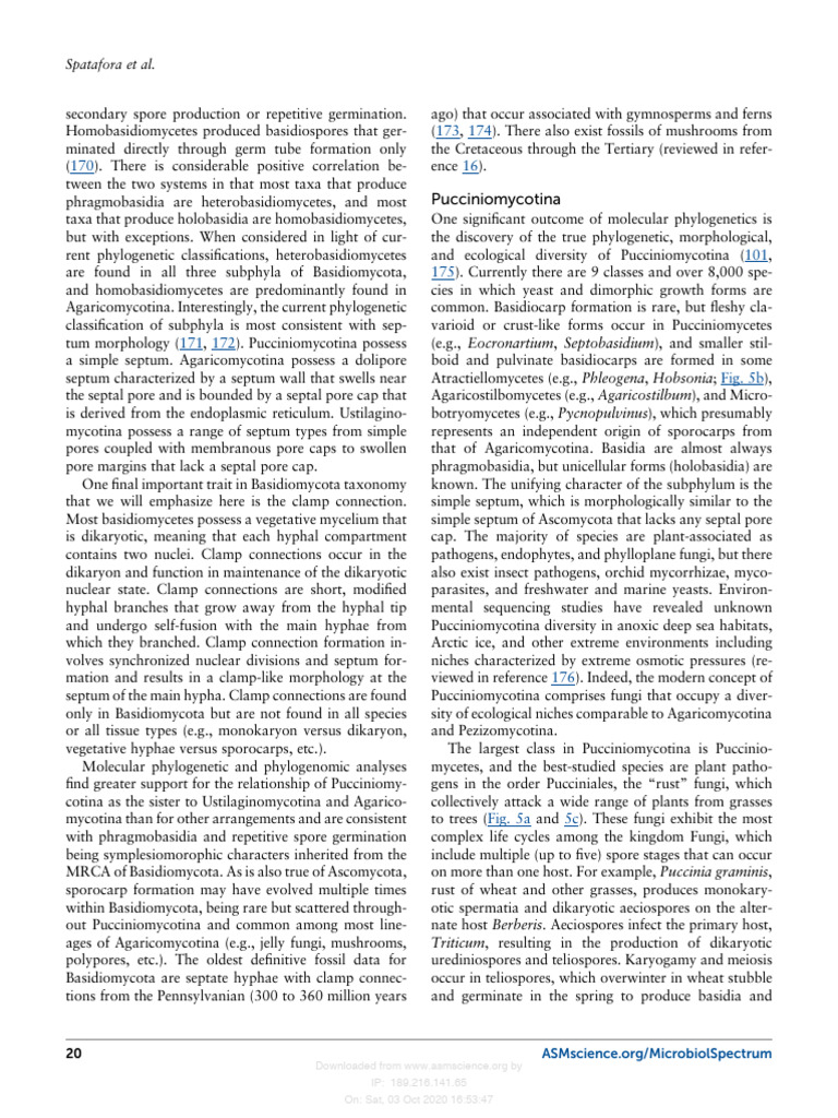 The Fungal Tree of Life 2 2 3 | PDF | Fungus | Biology