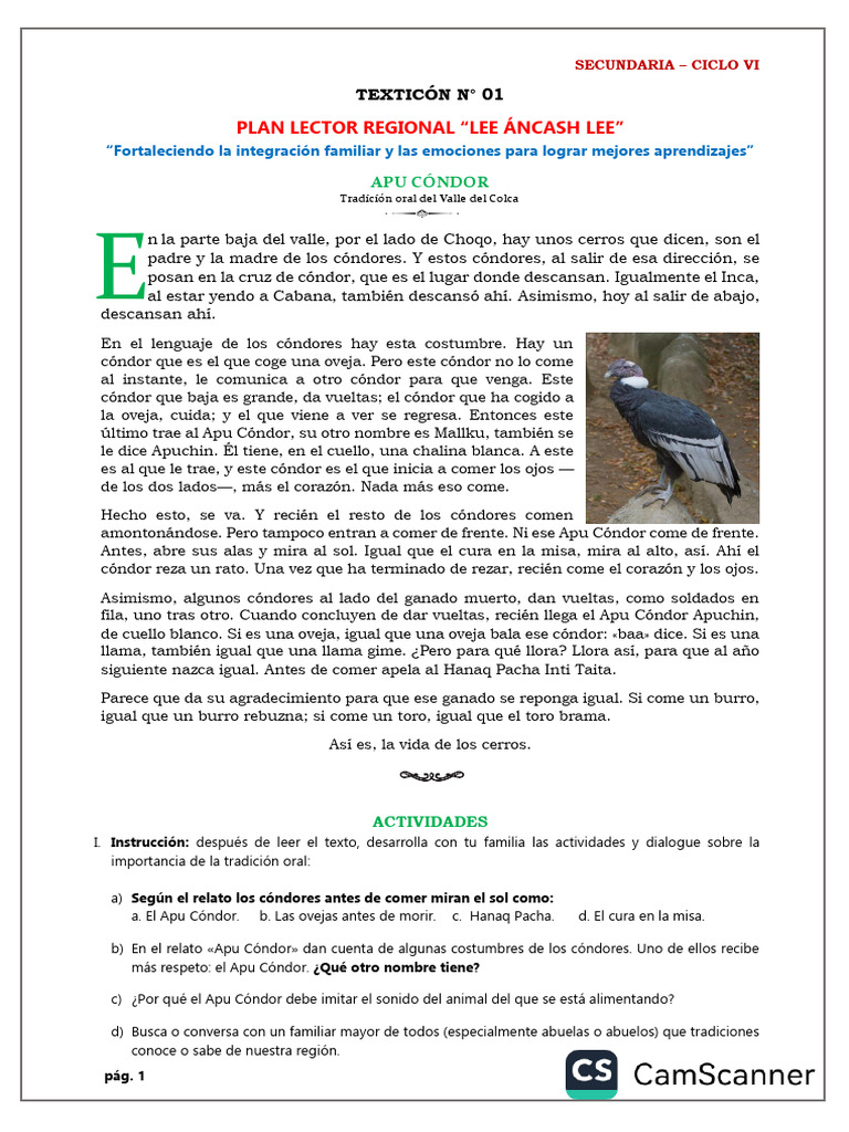 TEXTICÓN N° 01 (1) | PDF