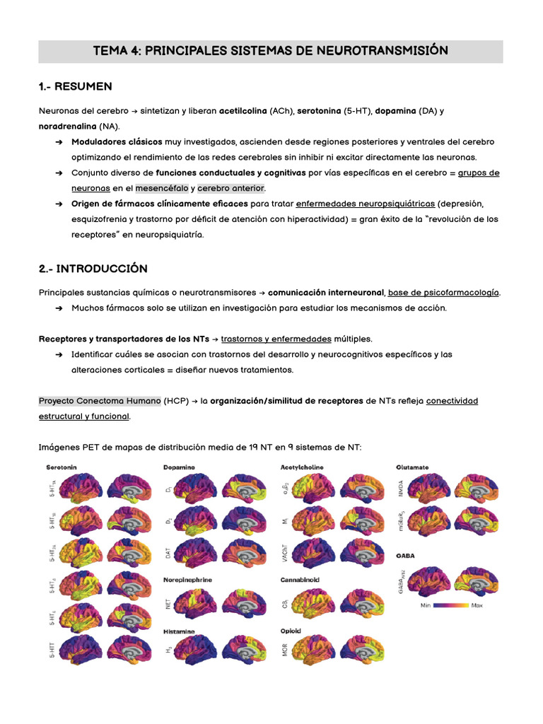 FN - Esquema T4 | PDF | Serotonina | Dopamina