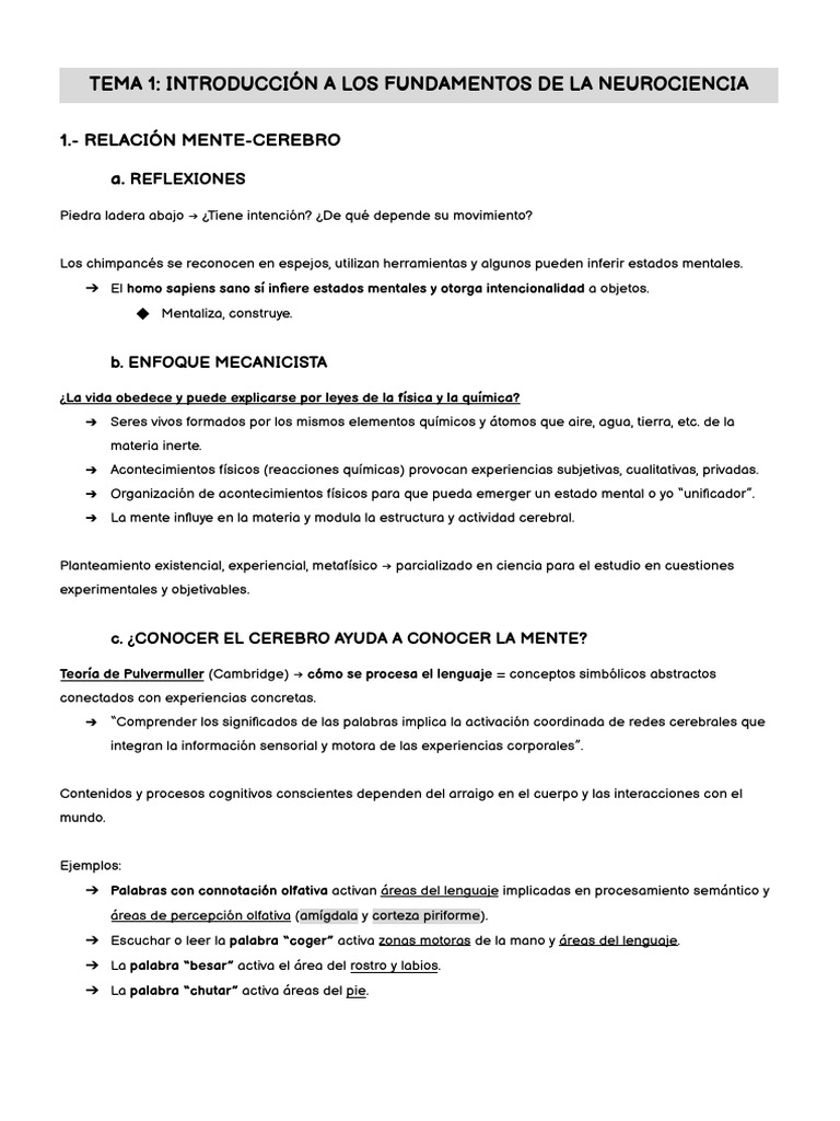 FN _ Esquema T1 | PDF | Neurona | Cerebro