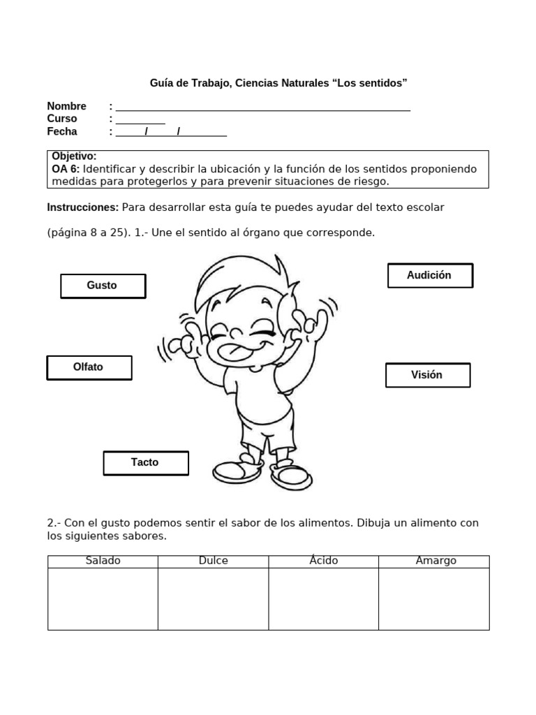 Guia de Los Sentidos 2 | PDF