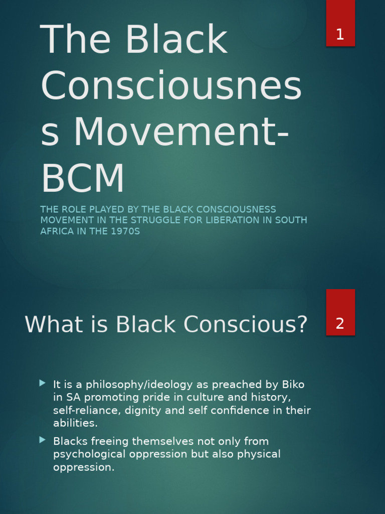 Black Consciousness Movement in the 1970s | PDF | Movements For Civil ...