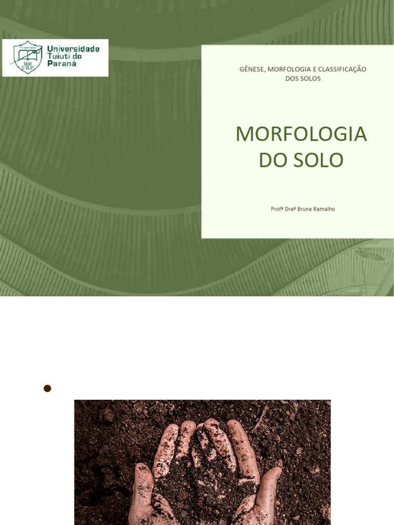 Morfologia e Classificação dos Solos | PDF | Solo | Argila