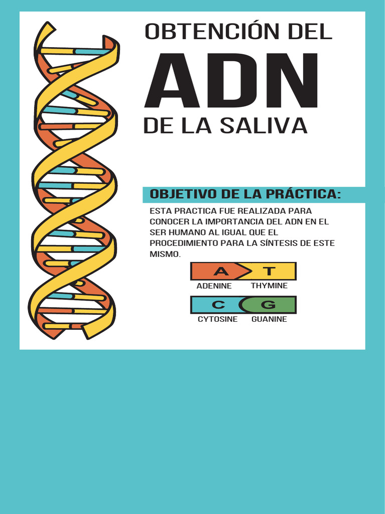 Blue Colorful Fun What Is DNA Life Science Infographic 2 | PDF