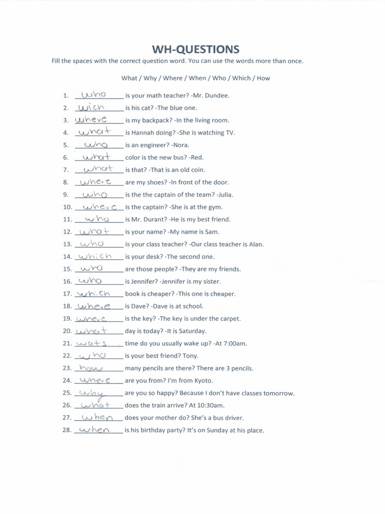 3 Wh Questions Homework | PDF