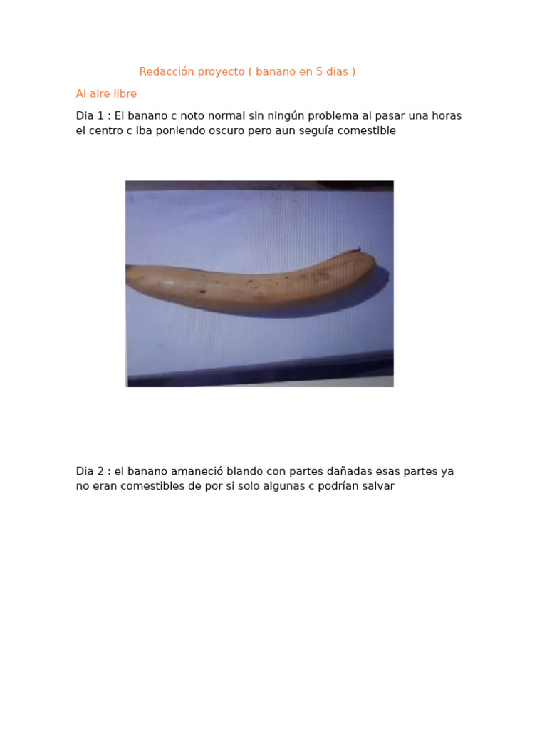 banano | PDF