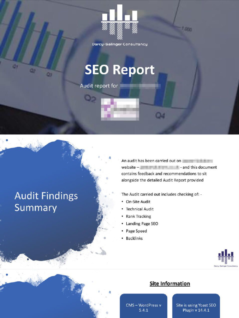 Sample Audit Report | PDF