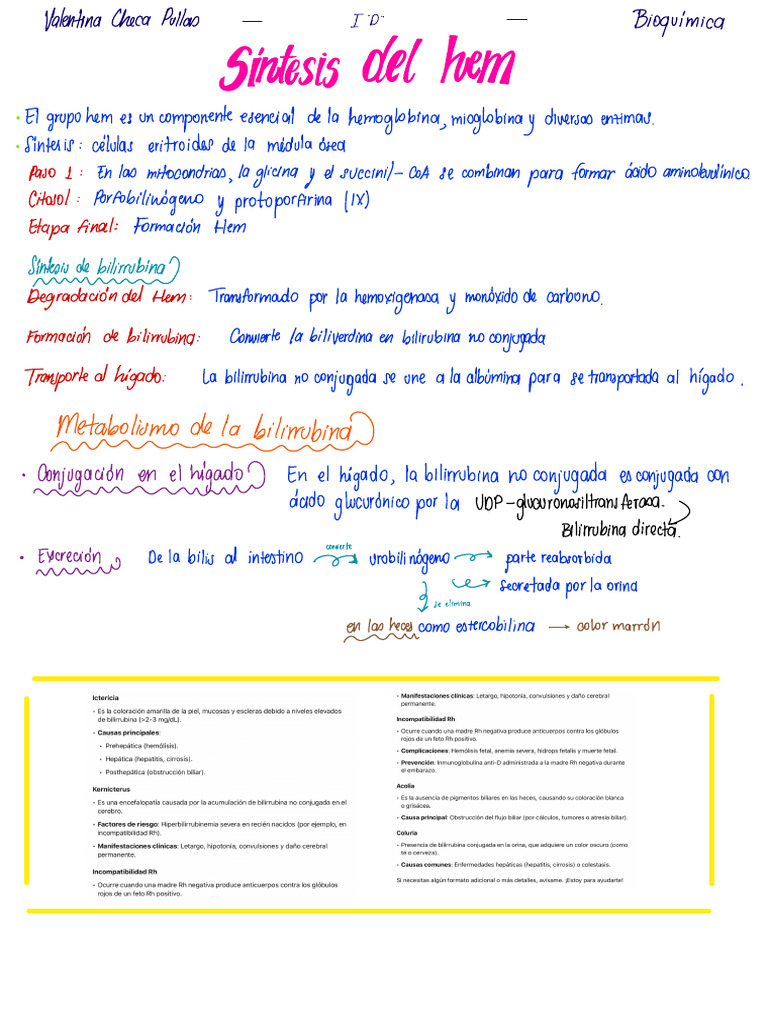 Síntesis Hem | PDF