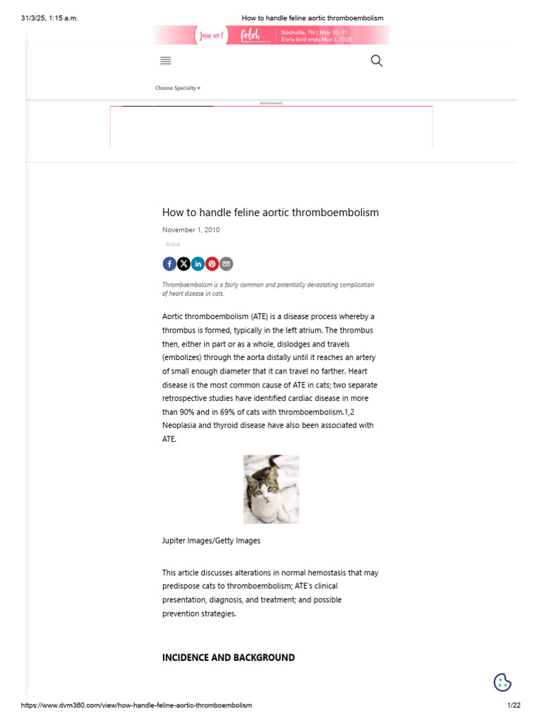 How to Handle Feline Aortic Thromboembolism | PDF | Thrombus | Thrombosis