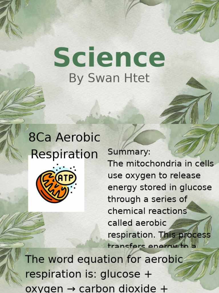 Science Canva Notes | PDF
