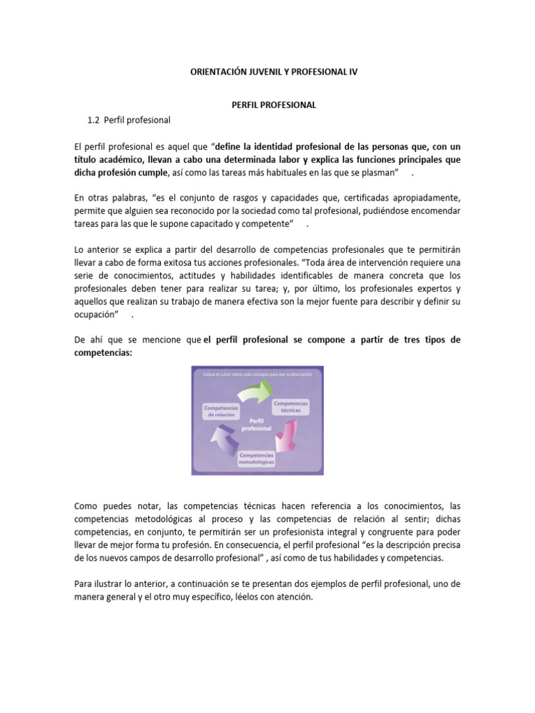 Definición de Perfil Profesional Integral | PDF | Gestión de recursos ...